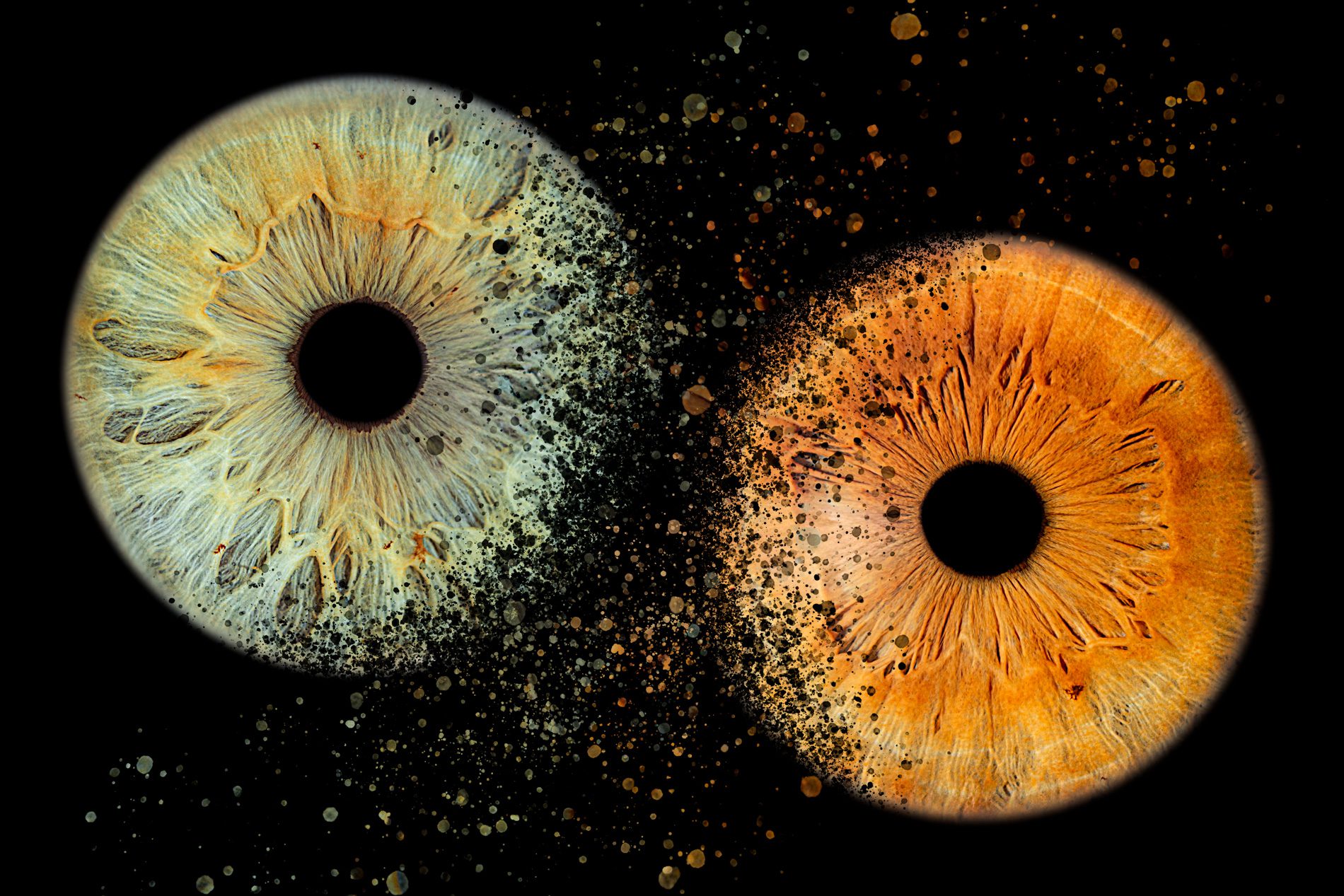 Photo d’iris : l’art dans vos yeux| Studio M